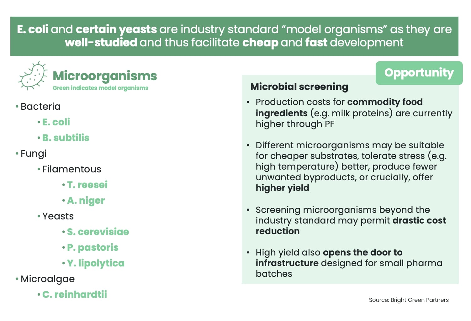 Microbial proteins: your toolbox for food functionality - Bright Green ...