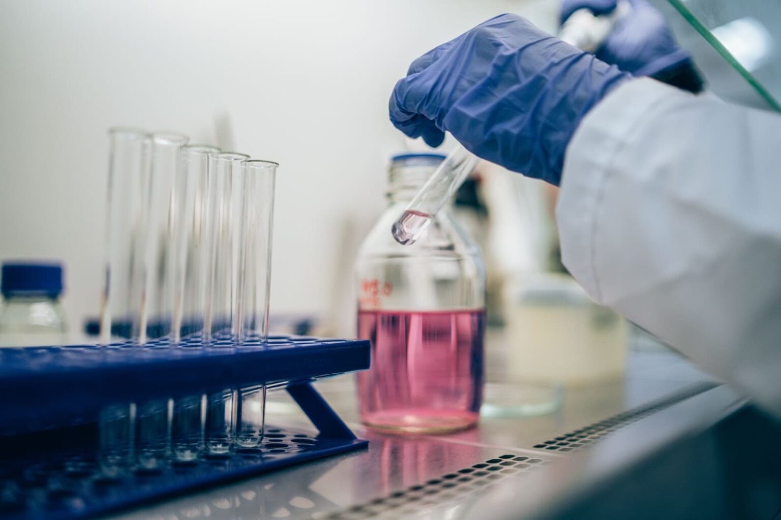 How to optimize your cell culture media for cultivated meat - Bright ...